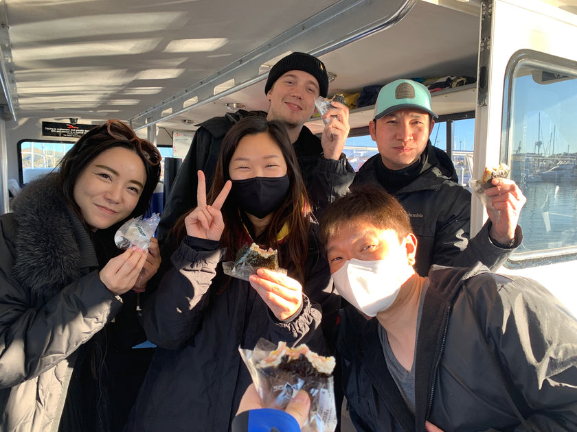 Raptor Diving to Anacapa Island