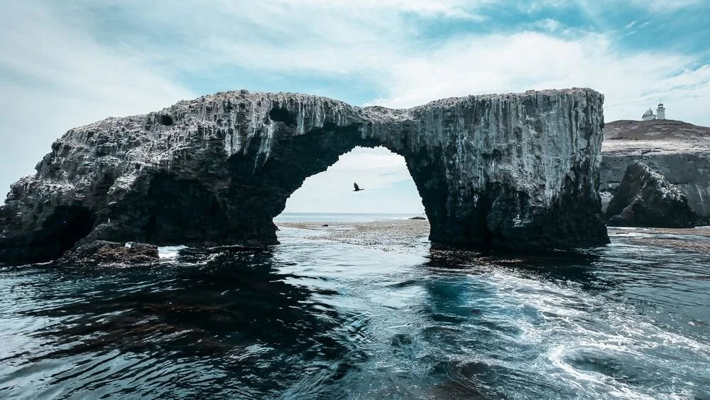 🌊 Channel Islands Scuba Dive Trip [June 14th 2026]